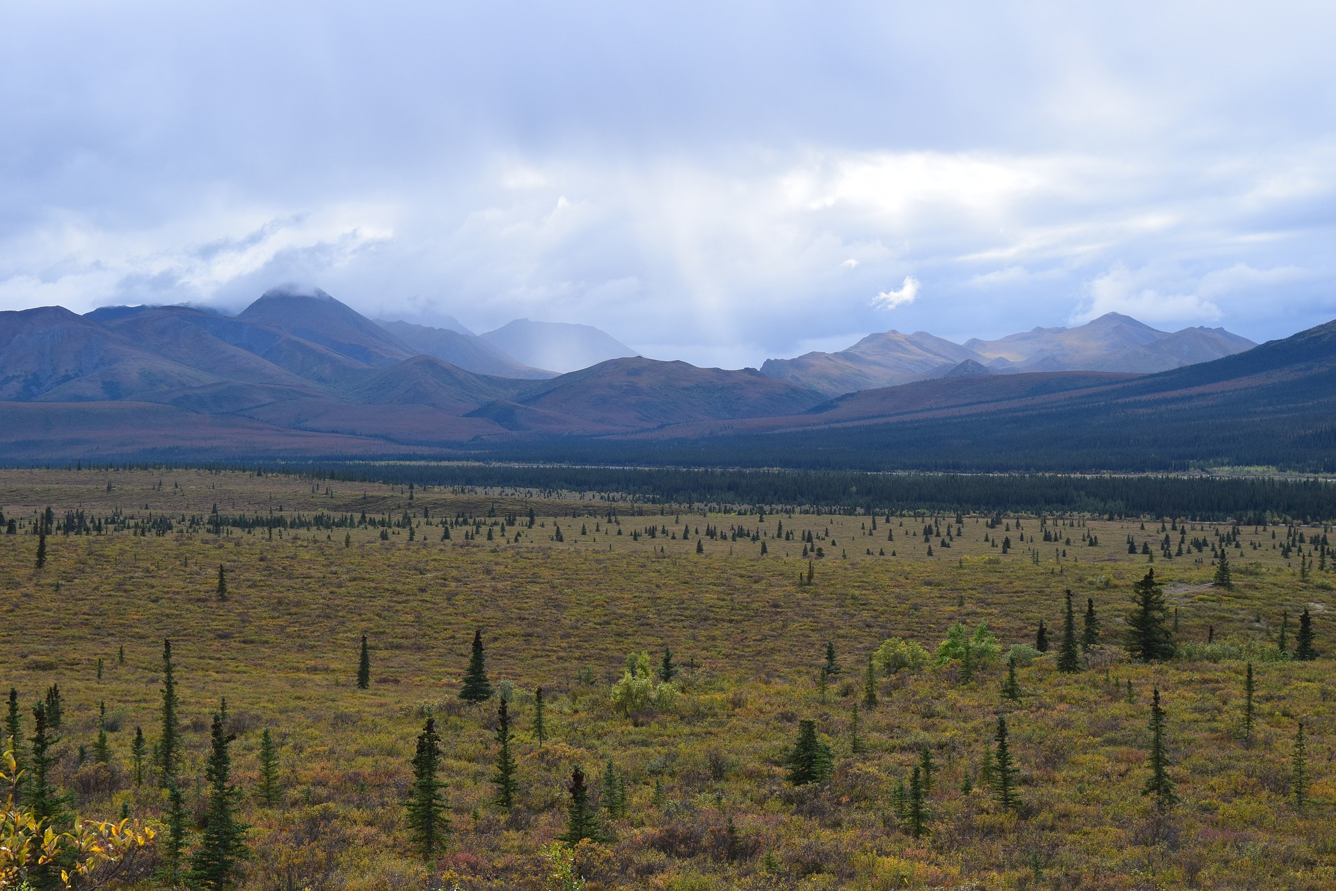 Denali Nationalpark: Das größte geschützte Ökosystem der Erde