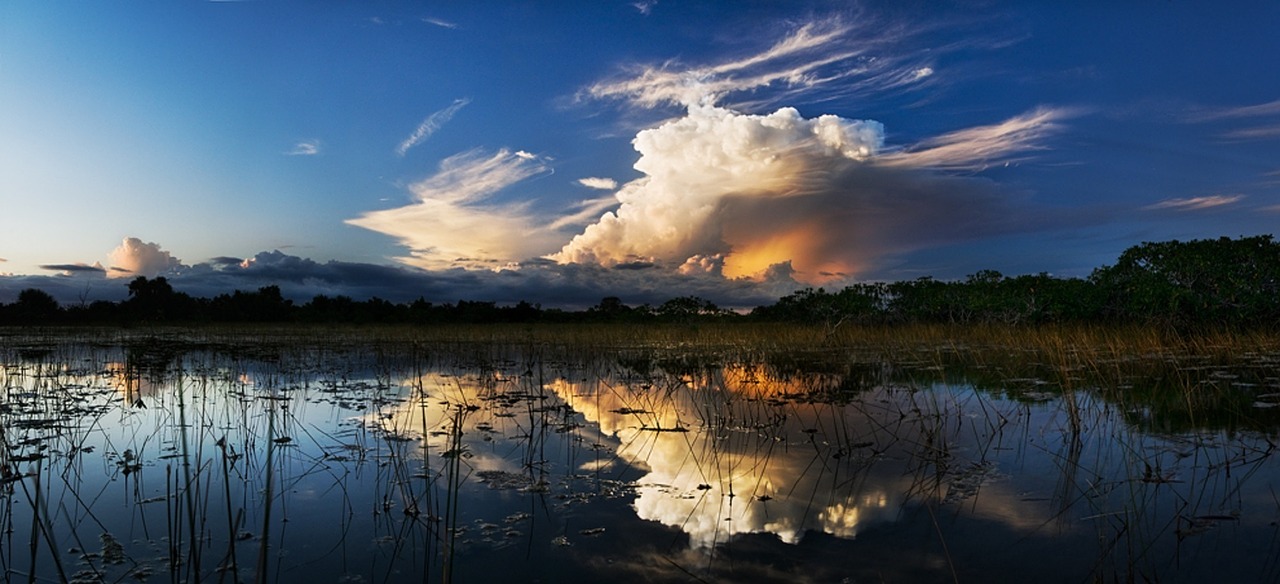 Der Everglades Nationalpark: Ein unbeschreiblicher Schatz der Natur